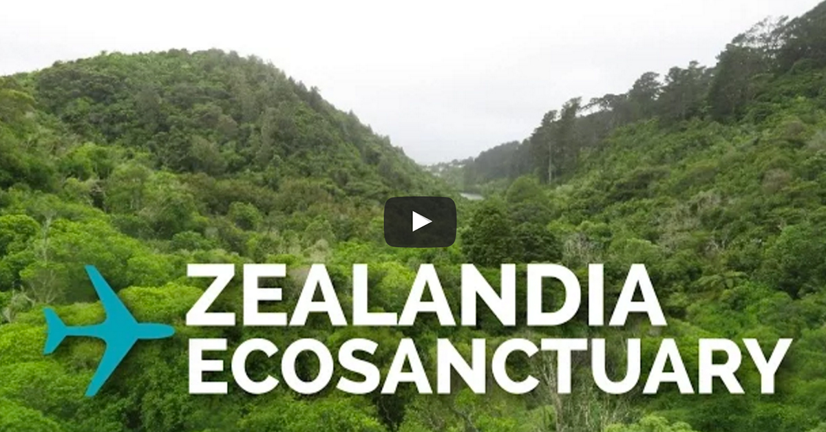 Video visit of Zealandia Animal Sanctuary New Zealand - VeganTravel.com