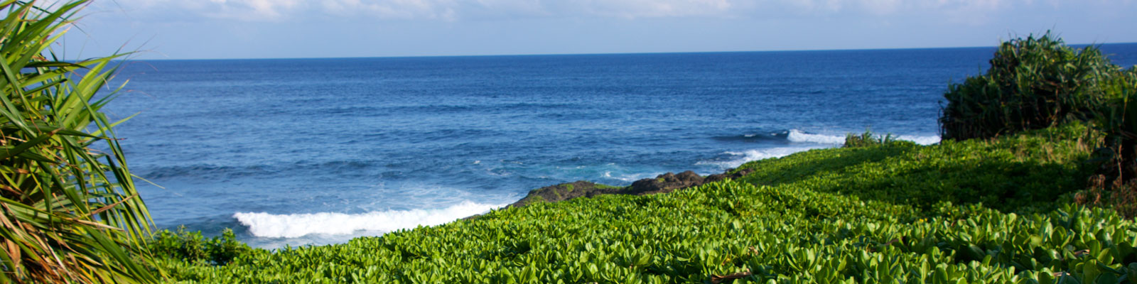 Maui Banner 1600x400 - Vegan Travel