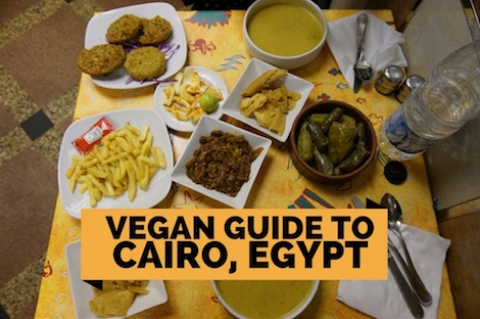 Vegan Guide to Cairo, Egypt - Vegan Travel Blog on VeganTravel.com