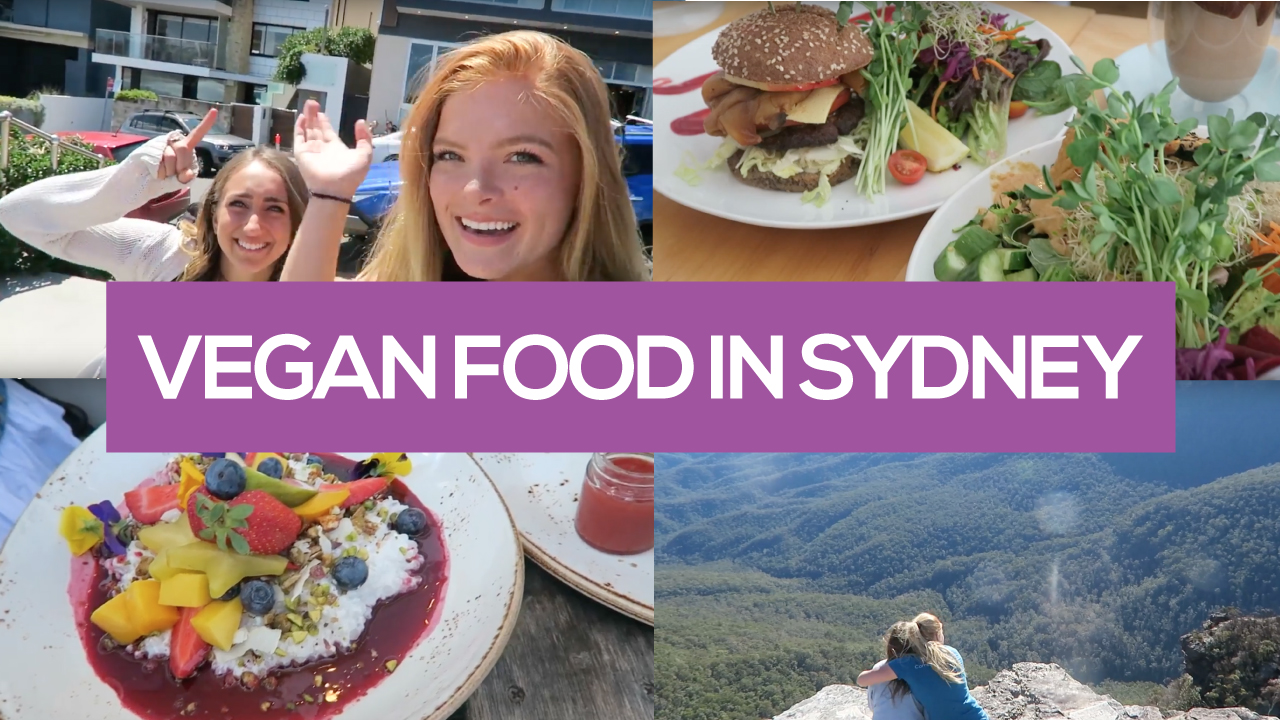Vegan Sydney + Blue Mountains Vegan Traveler Vlog on VeganTravel.com