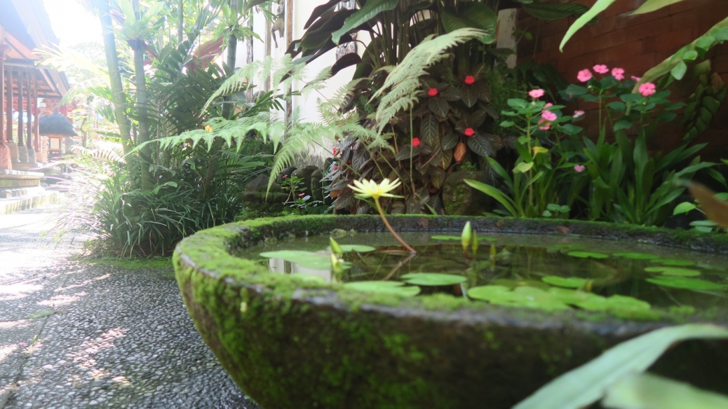 Authentic Balinese Family Homestay - Vegan Travel Blog on VeganTravel