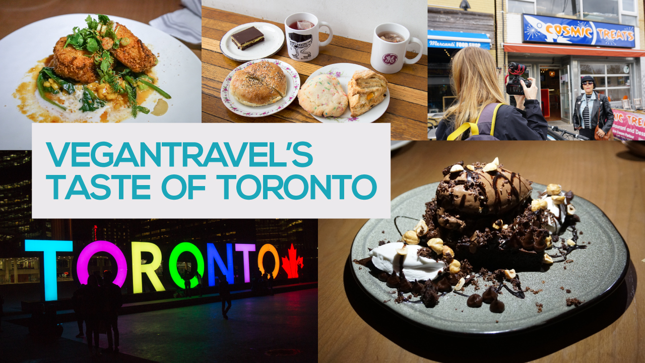 VeganTravel's Taste of Toronto - Vegan Traveler Vlog on VeganTravel.com